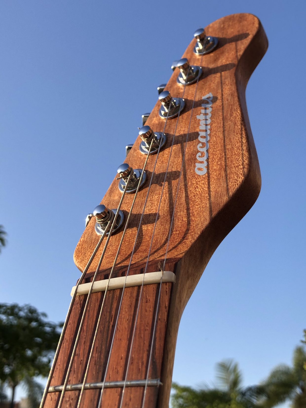 Dot Matrix – Solid Body Sweetheart Rock Star – ACCANTUS GUITARS